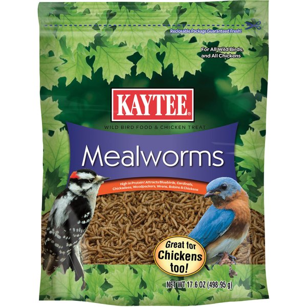 10 Best Mealworms for Wild Birds 2026: According to Reviews | Chewy