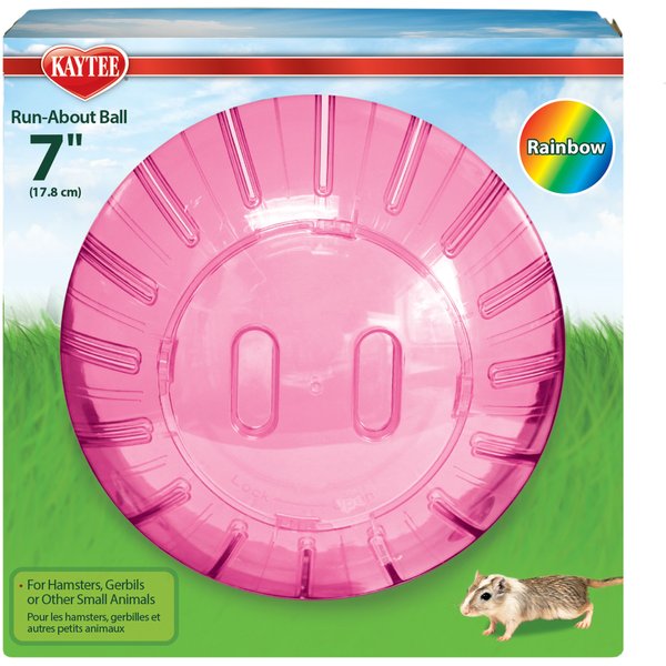 KAYTEE Run-About Small Animal Exercise Ball, 7-in - Chewy.com