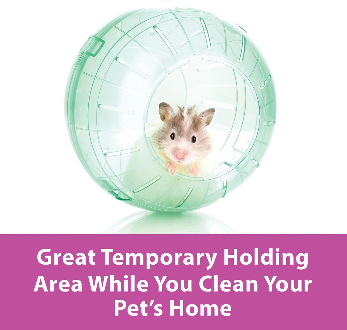 KAYTEE Run-About Small Animal Exercise Ball, 7-in - Chewy.com