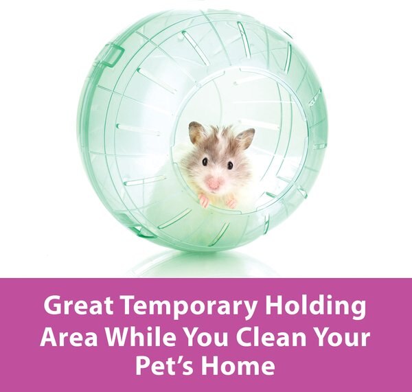 KAYTEE Run-About Small Animal Exercise Ball, 7-in - Chewy.com