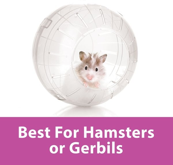 KAYTEE Run-About Small Animal Exercise Ball, 7-in - Chewy.com