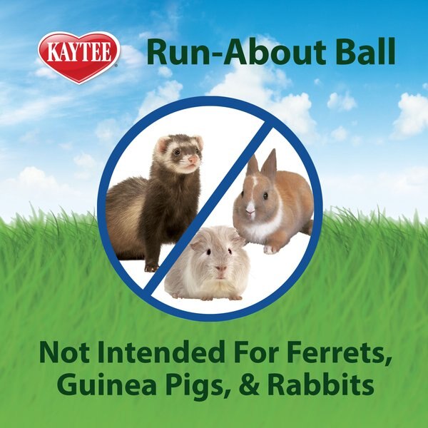 KAYTEE Run-About Small Animal Exercise Ball, 7-in - Chewy.com