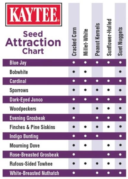 KAYTEE Seed & Suet No Mess Blend Blueberry Flavor Wild Bird Food, 10-lb ...