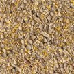 KAYTEE Seed & Suet No Mess Peanut Wild Bird Food, 10-lb bag - Chewy.com