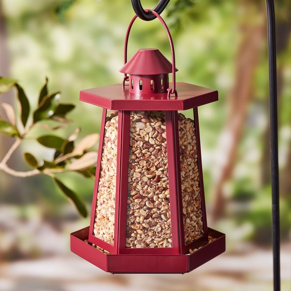 KAYTEE Shelled Peanuts Wild Bird Food, 10-lb bag - Chewy.com