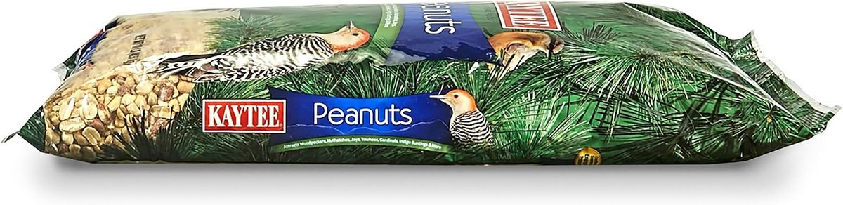 KAYTEE Shelled Peanuts Wild Bird Food, 10-lb bag - Chewy.com