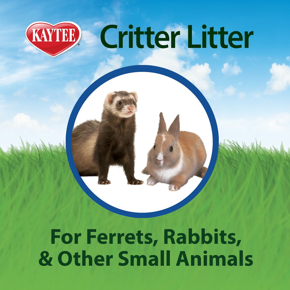 KAYTEE Small Animal Critter Litter, 8-lb bag - Chewy.com