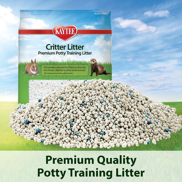 KAYTEE Small Animal Critter Litter, 8-lb bag - Chewy.com