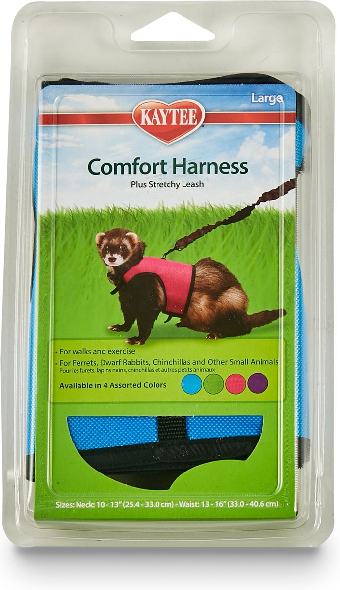 KAYTEE Small Animal Harness & Stretchy Leash, Large - Chewy.com