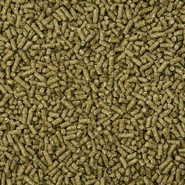 KAYTEE Supreme Fortified Daily Diet Rabbit Food, 10-lb bag - Chewy.com