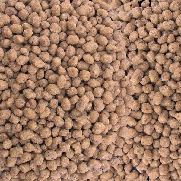 KAYTEE Woodpecker Suet Nuggets, 27-oz bag - Chewy.com