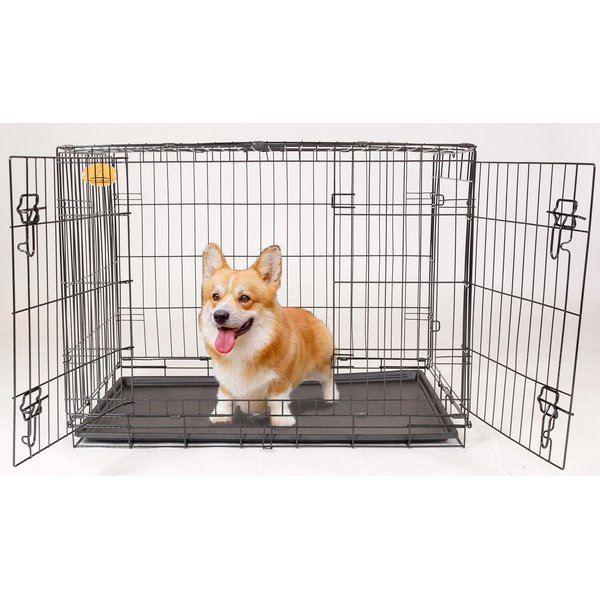 KENNELMASTER Folding Dog Kennel Crate, Black, 36-in x 23-in x 26-in ...