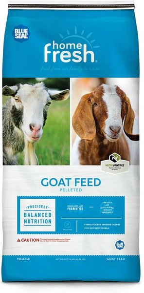 KENT / BLUE SEAL Home Fresh 20 Dairy Goat Feed, 50-lb bag - Chewy.com