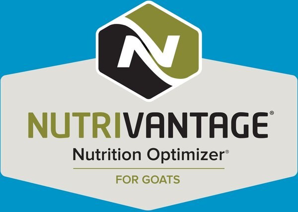 KENT / BLUE SEAL Home Fresh 20 Dairy Goat Feed, 50-lb bag - Chewy.com