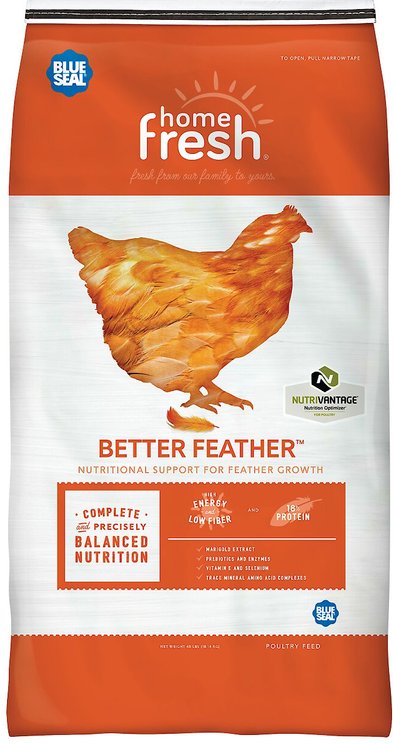 BLUE SEAL CHICKEN FEED (Free Shipping) | Chewy