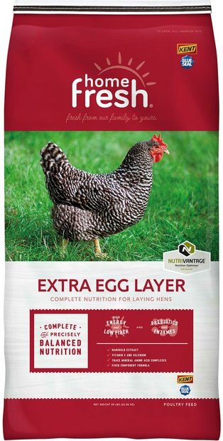 BLUE SEAL CHICKEN FEED (Free Shipping) | Chewy