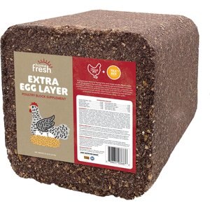 Discontinued - KENT / BLUE SEAL Home Fresh Extra Egg Layer Block ...