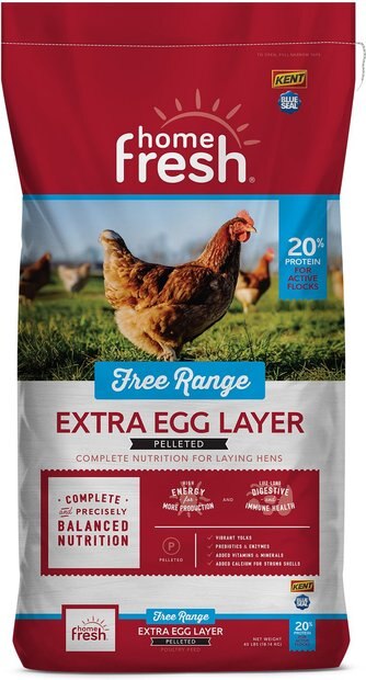BLUE SEAL CHICKEN FEED (Free Shipping) | Chewy