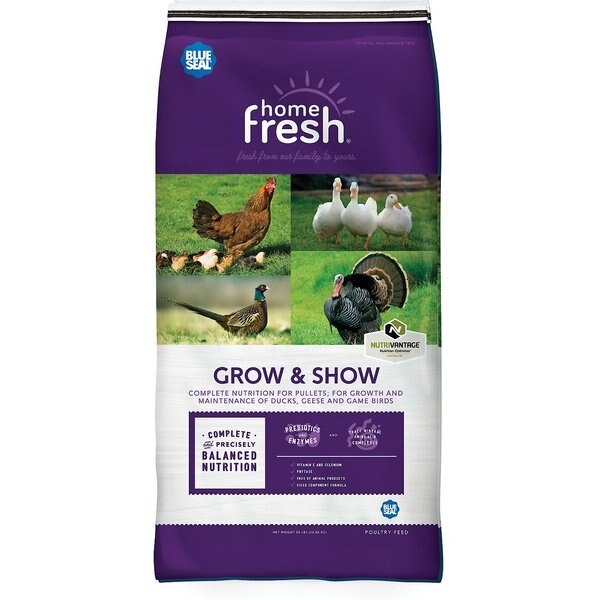 KENT / BLUE SEAL Home Fresh Grow & Show Crumbles Chicken Feed, 50-lb ...