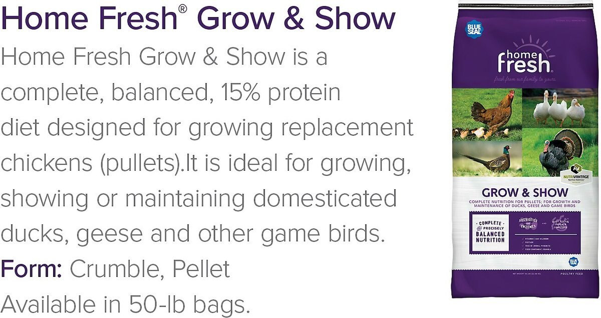 KENT / BLUE SEAL Home Fresh Grow & Show Crumbles Chicken Feed, 50-lb ...