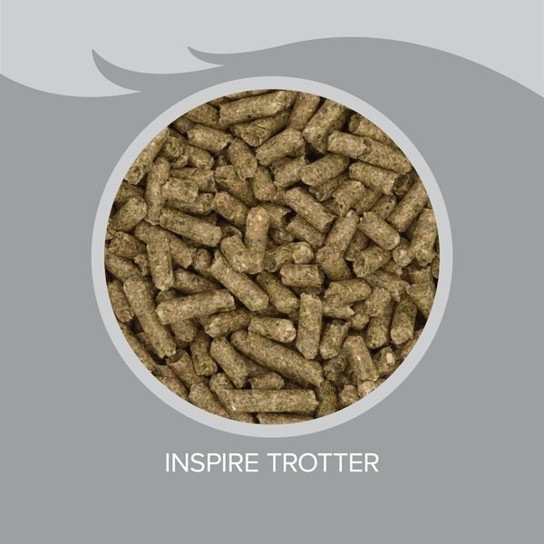 KENT / BLUE SEAL Inspire Trotter Horse Feed, 50-lb bag - Chewy.com