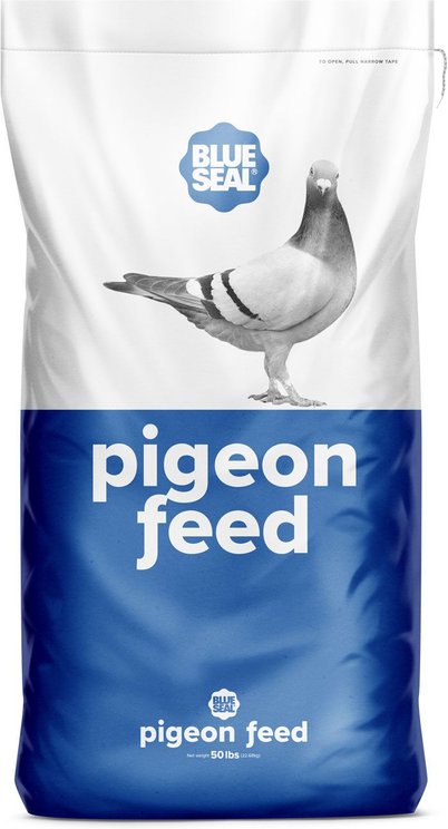 Pigeon Supplies & Accessories | Chewy