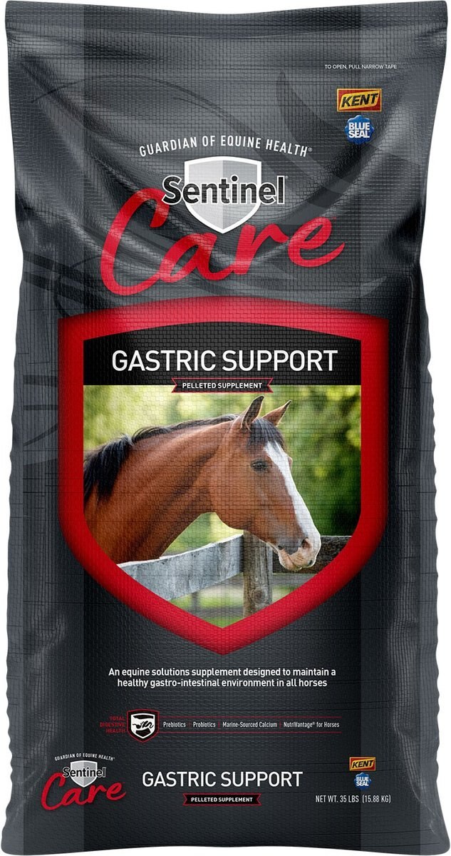 KENT / BLUE SEAL Sentinel Care Gastric Support Horse Feed, 35-lb bag ...