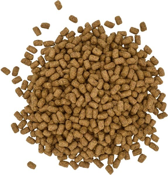 KENT / BLUE SEAL Sentinel Care - Omegatin Horse Food, 40-lb bag - Chewy.com