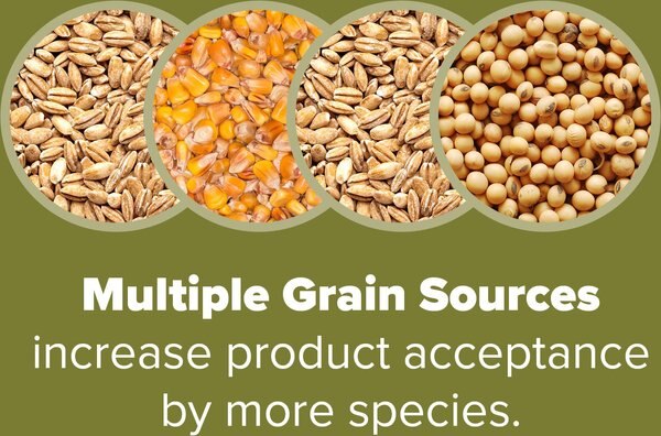 KENT / BLUE SEAL Wildlife Grains Bird Food, 40-lb bag - Chewy.com