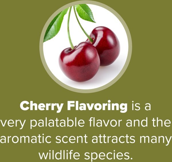 KENT / BLUE SEAL Wildlife Grains Bird Food, 40-lb bag - Chewy.com