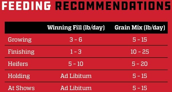 Discontinued - KENT / BLUE SEAL Winning Fill Cattle Feed, 50-lb bag ...