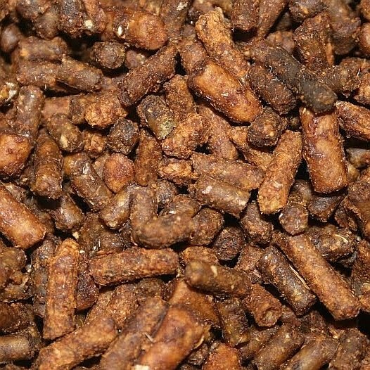 KENTUCKY EQUINE RESEARCH RE-LEVE Sport Beet Pulp-Based Performance ...