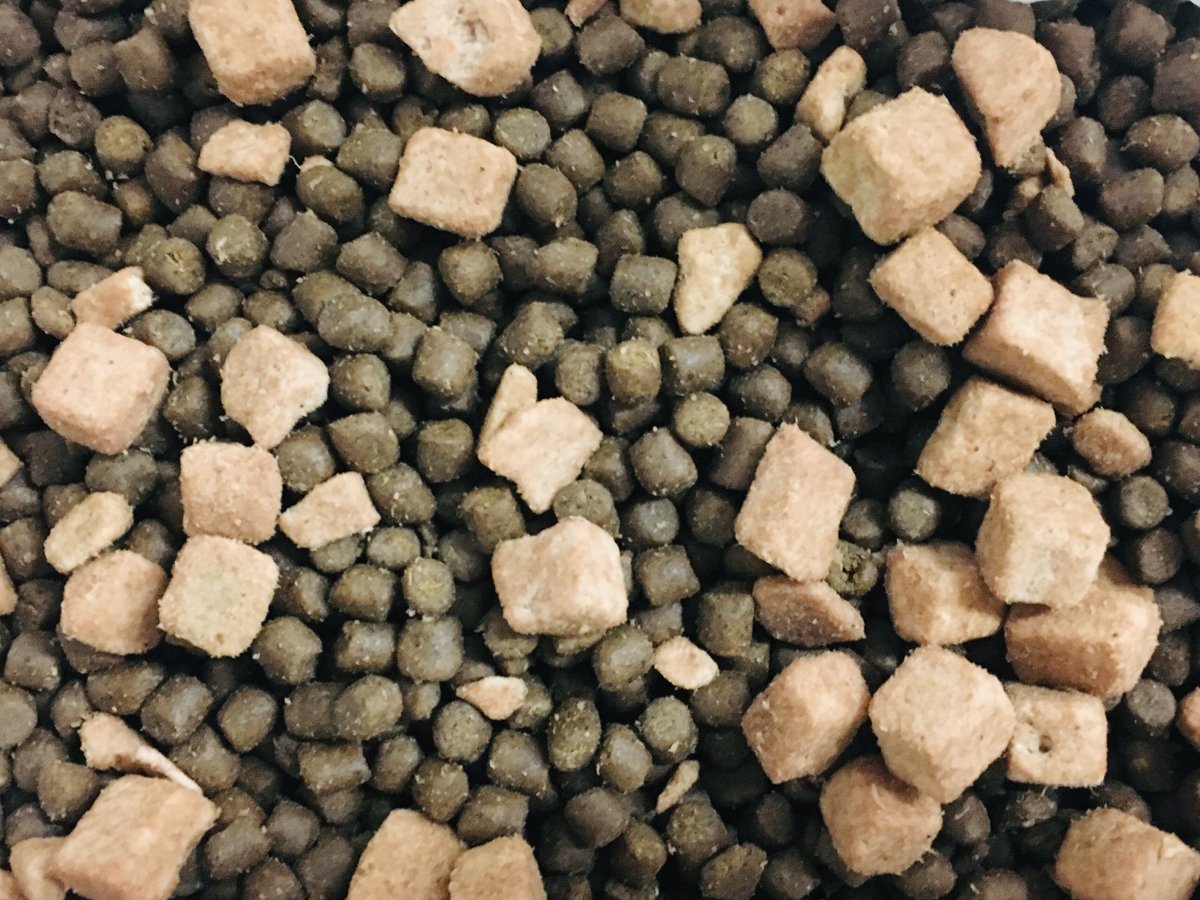 KETOGENIC PET FOOD Keto-Kibble Fat Boost Dry Dog & Cat Food, 8-lb bag ...