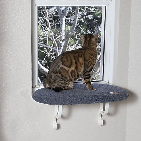 Cat Window Perches: Best Cat Perch Prices (Free Shipping) | Chewy