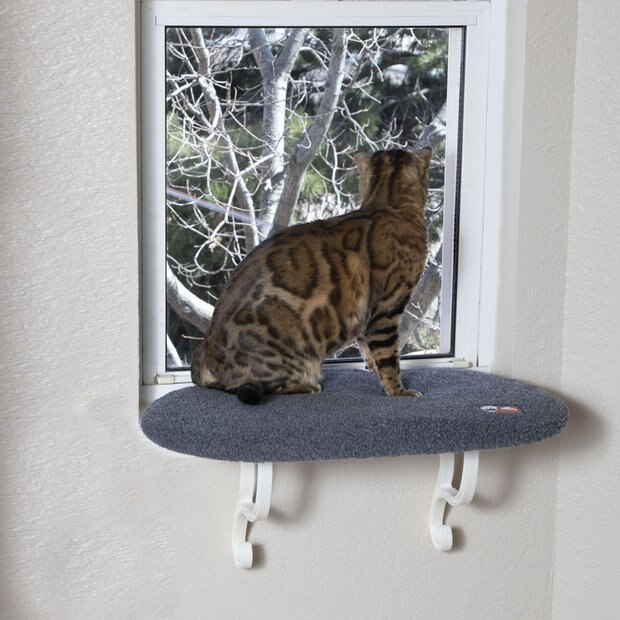 Cat Window Perches: Best Cat Perch Prices (Free Shipping) | Chewy