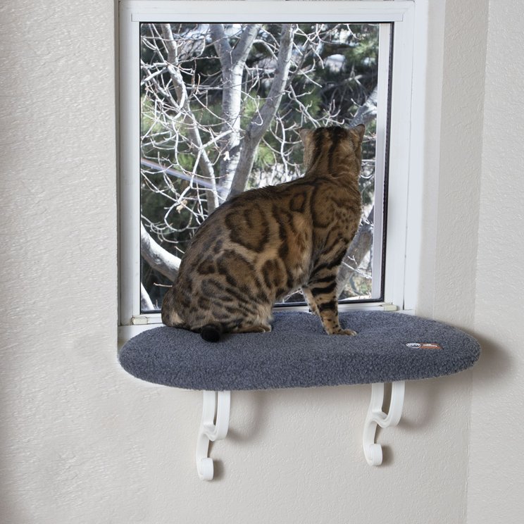 Cat Window Perches: Best Cat Perch Prices (Free Shipping) | Chewy