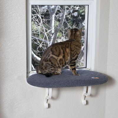 cat window frame
