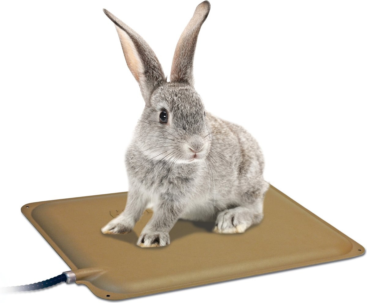 K&H PET PRODUCTS Outdoor Heated Small Animal Pad, Tan - Chewy.com
