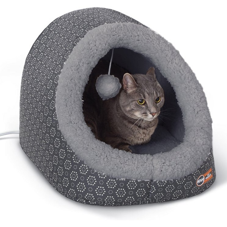 Enclosed & Covered Cat Beds - Low Prices (Free Shipping) | Chewy