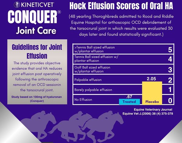 KINETICVET Conquer Joint Liquid Horse Supplement, 64-fl oz bottle ...