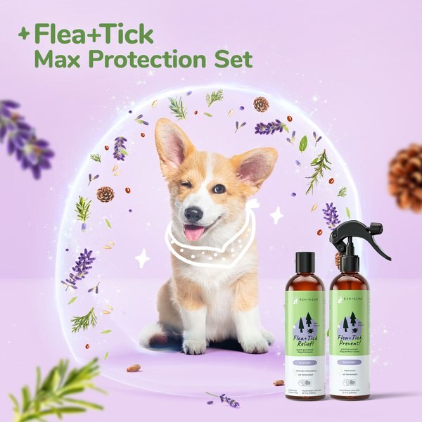 KIN+KIND Flea+Tick Lavender Spray & Shampoo Maximum Protection Set for ...