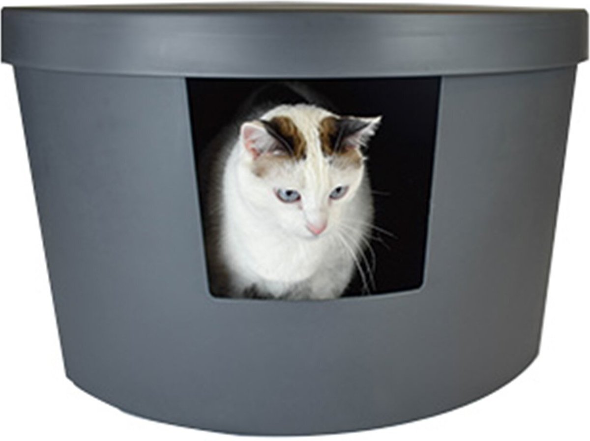 KITANGLE Corner Kitty Cat Litter Box, Large, Grey - Chewy.com