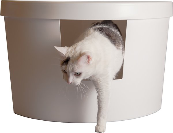 KITANGLE Corner Kitty Cat Litter Box, Large, White - Chewy.com