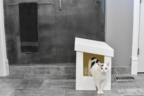 KITANGLE Slope Style Cat Litter Box, X-Large, White - Chewy.com