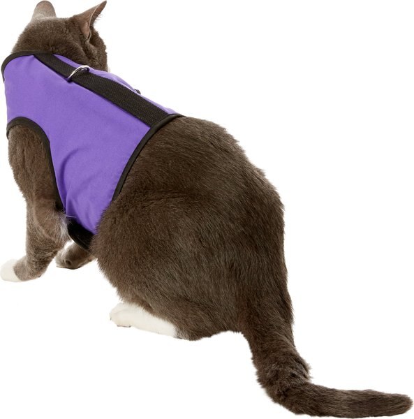 KITTY HOLSTER Cat Harness, Purple, X-Large - Chewy.com