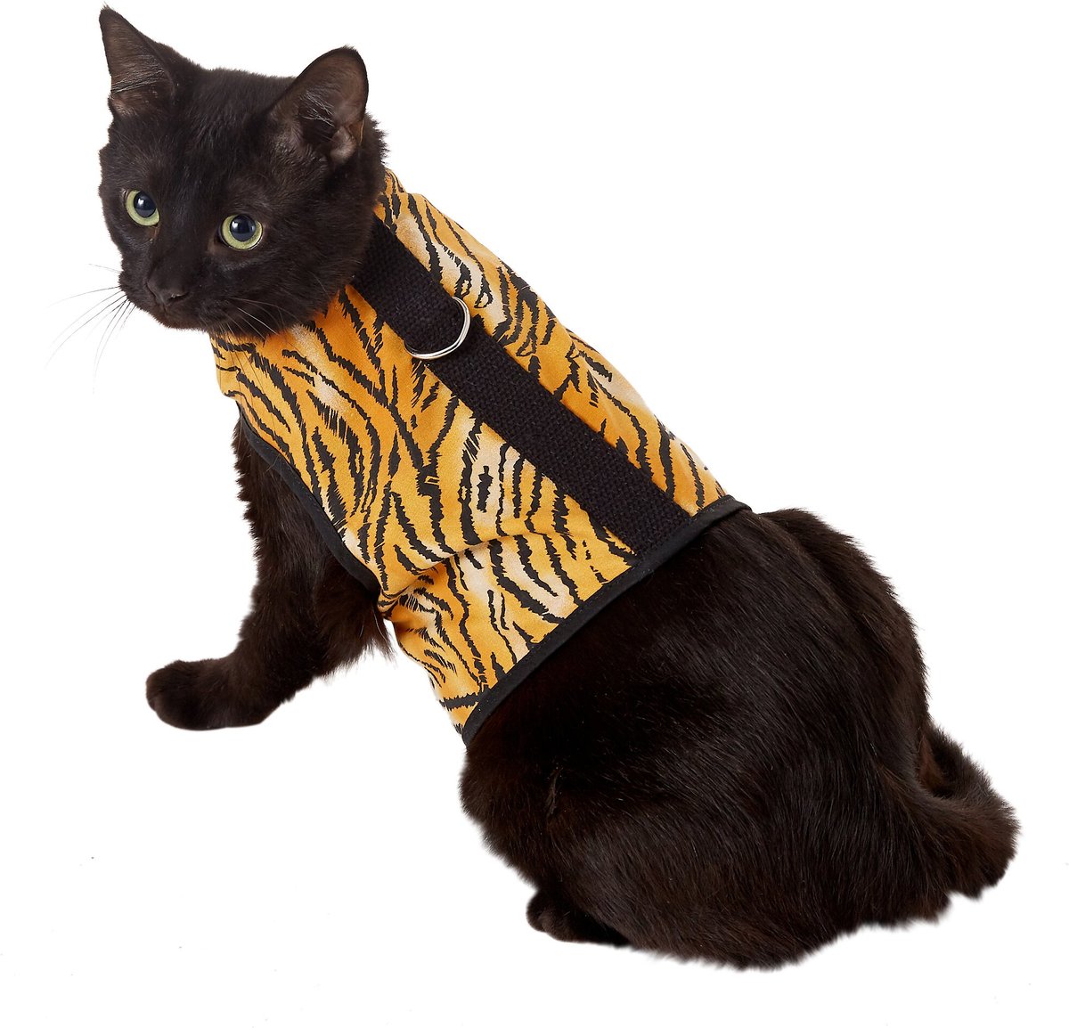 KITTY HOLSTER Cat Harness, Tiger Stripe, Medium/Large - Chewy.com