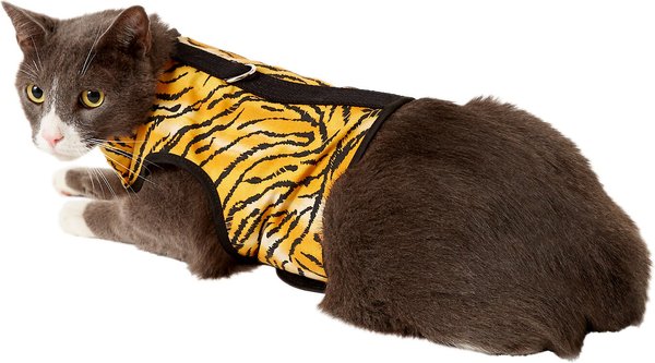 KITTY HOLSTER Cat Harness, Tiger Stripe, Small/Medium - Chewy.com