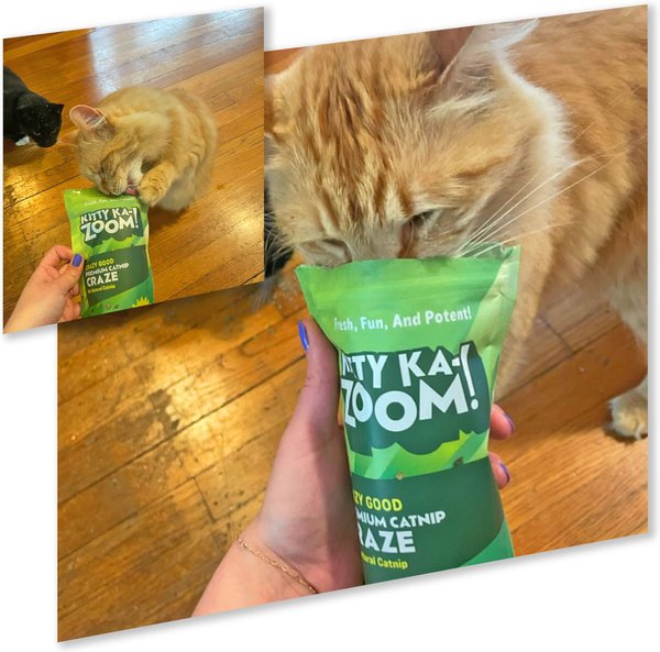 KITTY KA-ZOOM Craze Catnip, 2-oz bag - Chewy.com