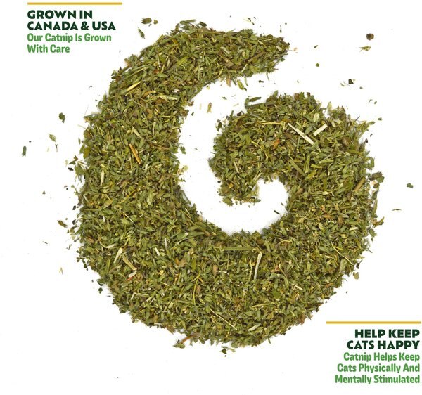 KITTY KA-ZOOM Craze Catnip, 2-oz bag - Chewy.com