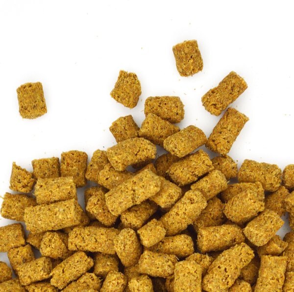 KITTY KA-ZOOM Grain-Free Tuna with Catnip Crunchy Cat Treat, 2.75-oz ...